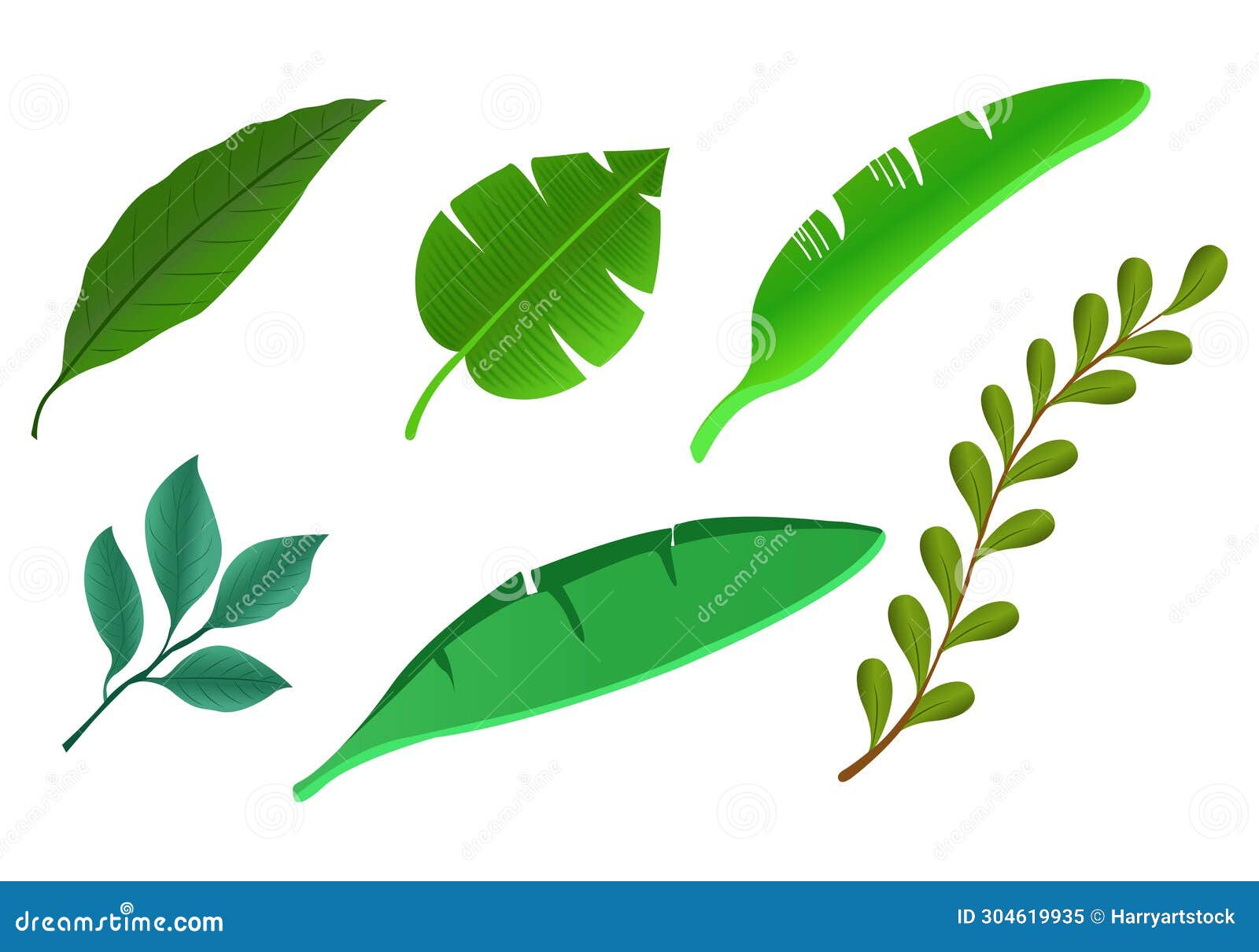 Realistic Tropical Plants Green Leaf Set Design Stock Vector ...