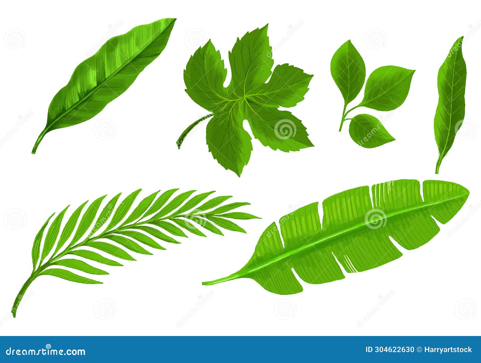 .Realistic Tropical Plants Green Leaf Set Design Stock Vector ...