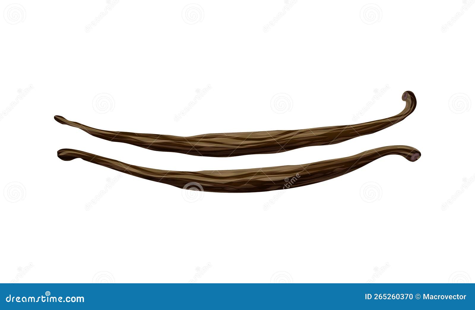 Realistic Vanilla Beans stock illustration. Illustration of sweet ...