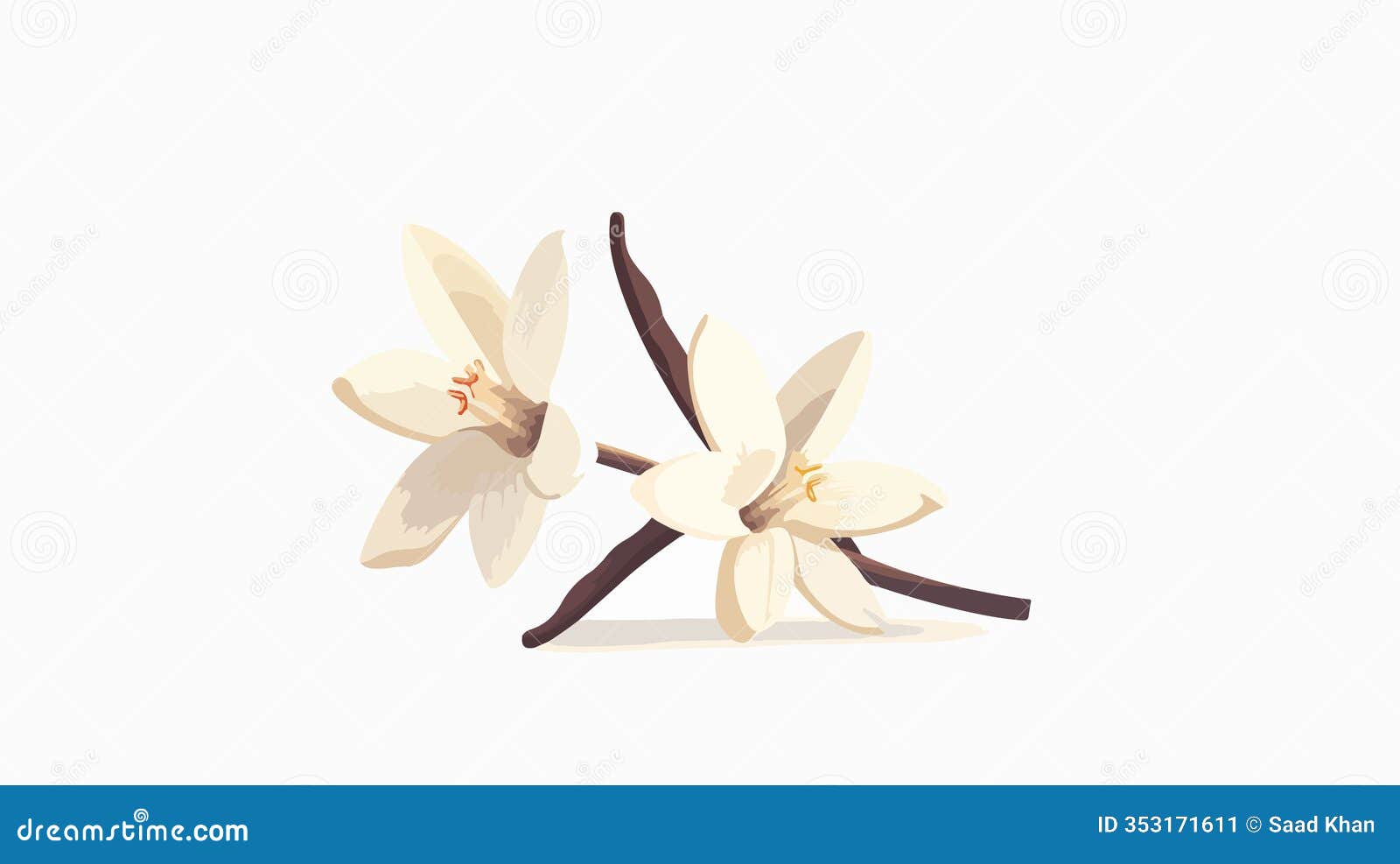 Realistic Vanilla Flower Vector Objects on White Background Stock ...
