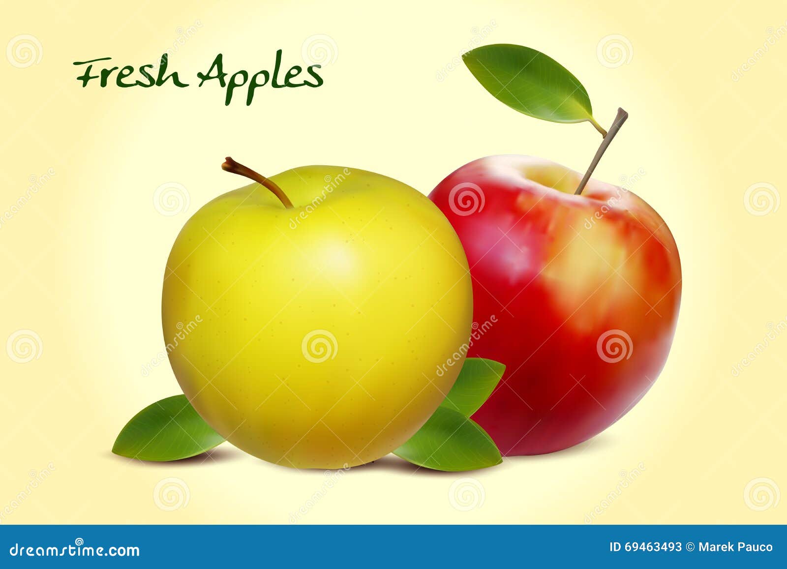 Realistic Vector Apples stock vector. Illustration of concept - 69463493