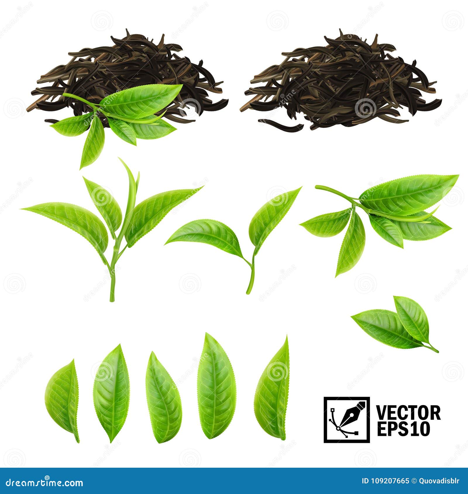Realistic Vector Elements Set of Tea: Fresh Leaves and Pile Dry Tea ...