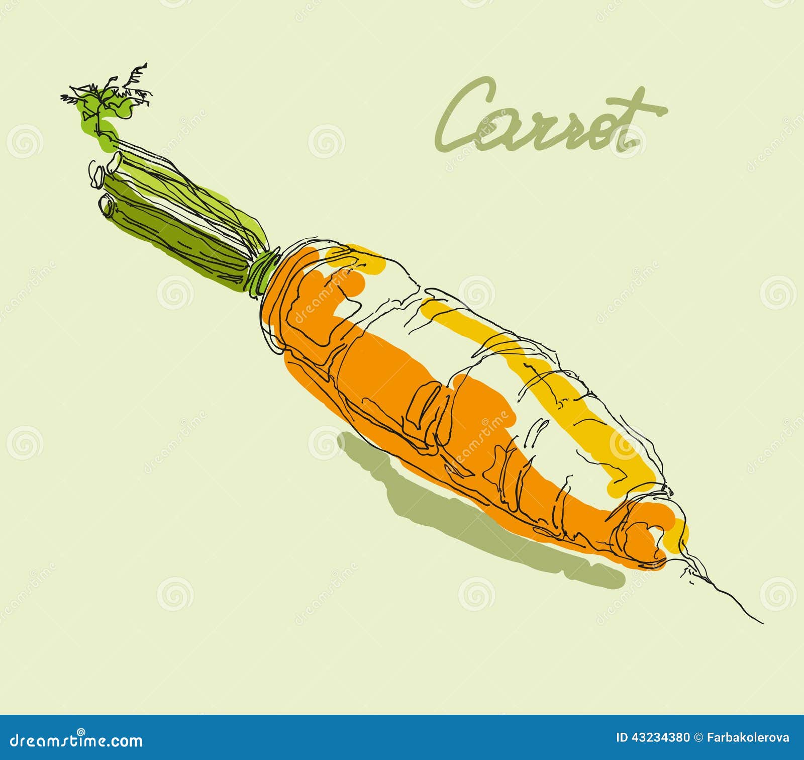 Realistic Vector Hand Drawing Set of Vegetables Stock Vector ...