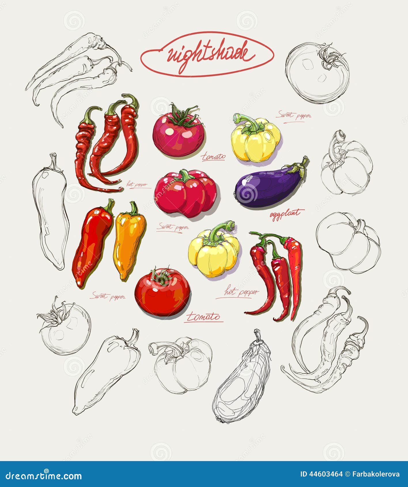 Realistic Vector Hand Drawing Set of Vegetables Stock Vector ...