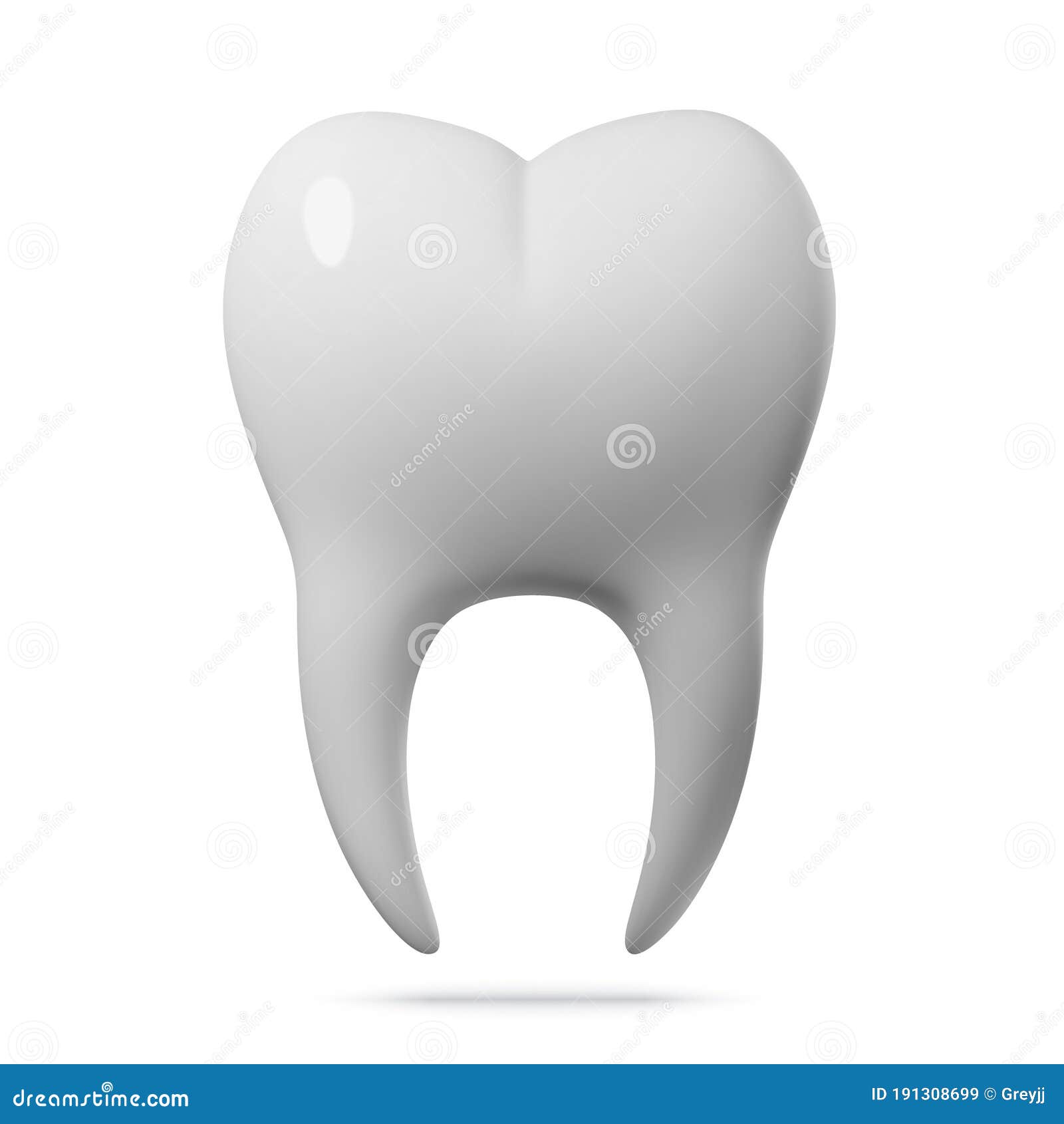 Realistic Vector Human Tooth, Close-Up, Front View Stock Vector ...