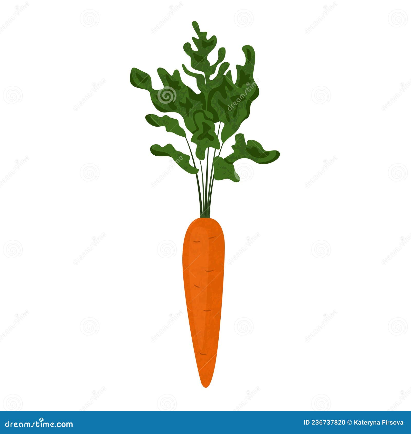 Realistic Vector Illustration Carrot with Leaves Isolated on White ...