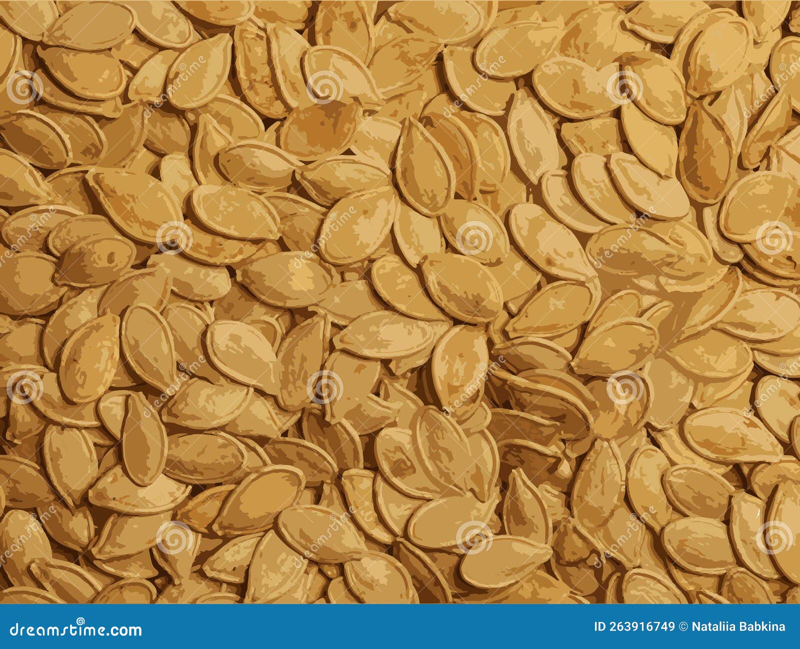 Realistic Vector Illustration of Pumpkin Seed Texture. Pumpkin Seeds As ...