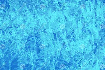 Realistic Vector Illustration of a River Surface with Algae Covered ...