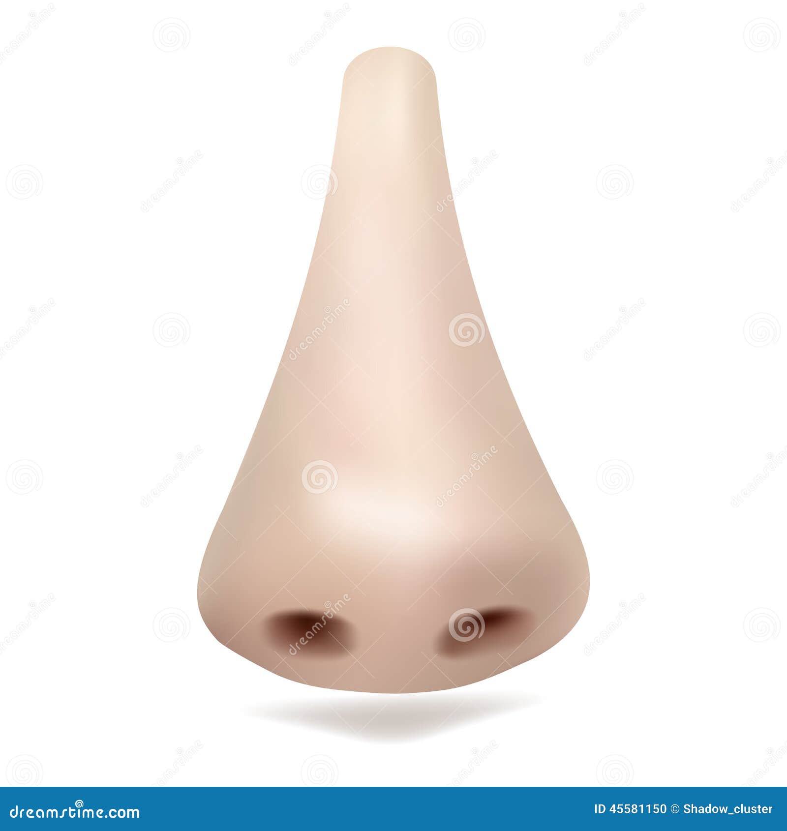 Vector Nose Cartoon Set For Character Animation | CartoonDealer.com ...