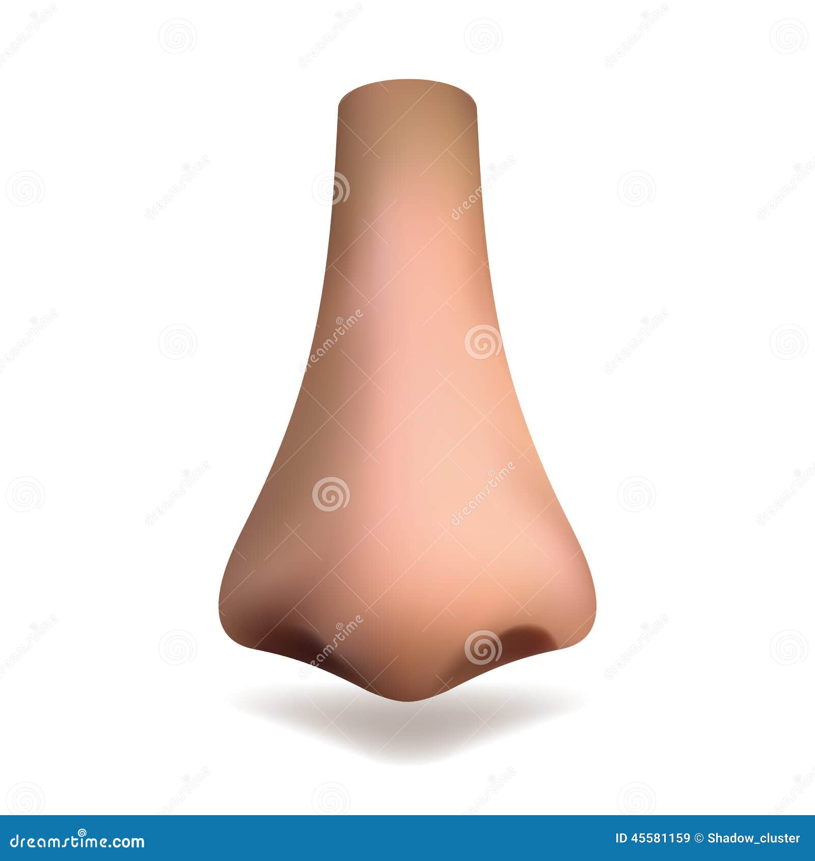 Vector Nose Cartoon Set For Character Animation | CartoonDealer.com ...