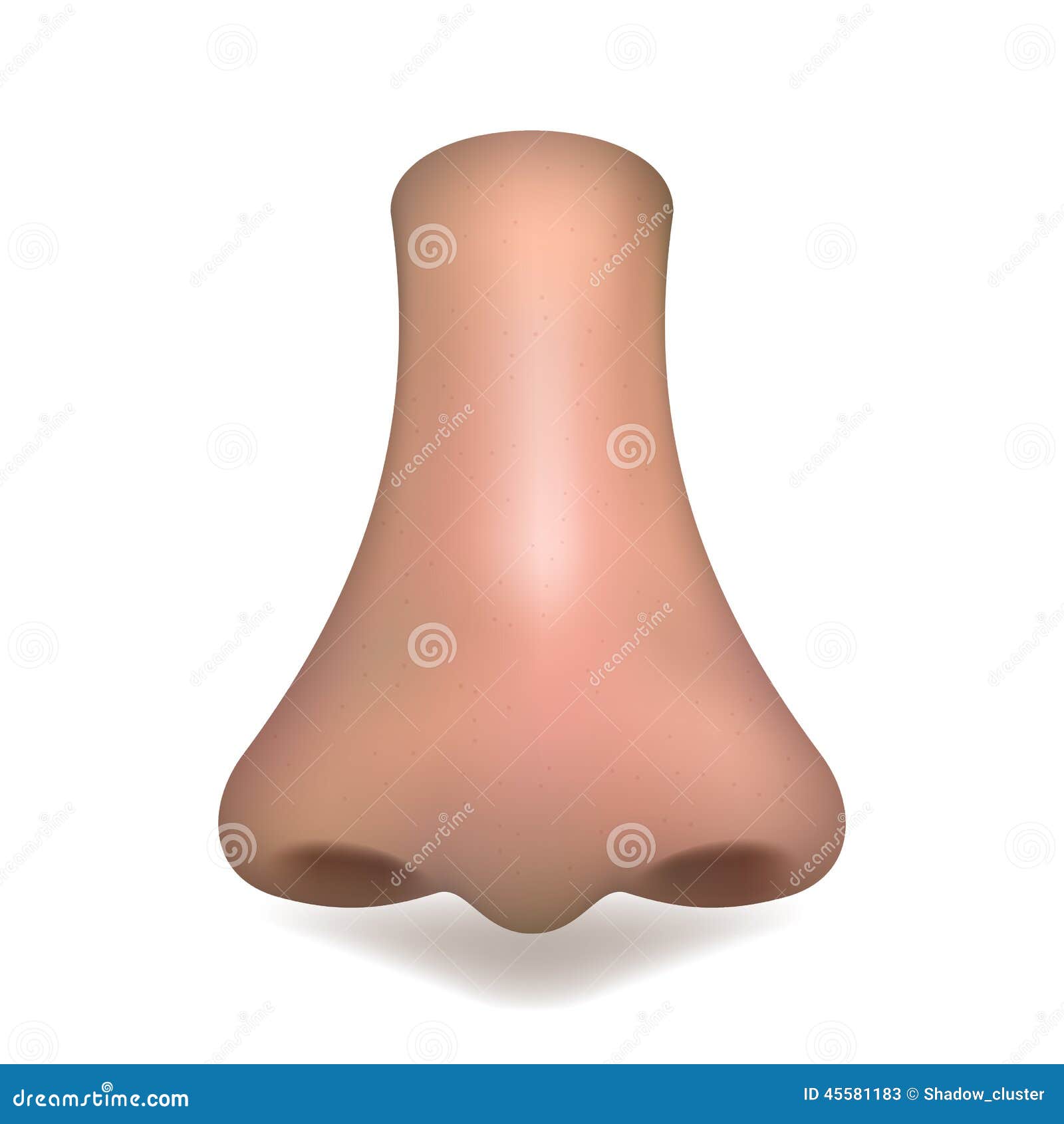 Vector Nose Cartoon Set For Character Animation | CartoonDealer.com ...