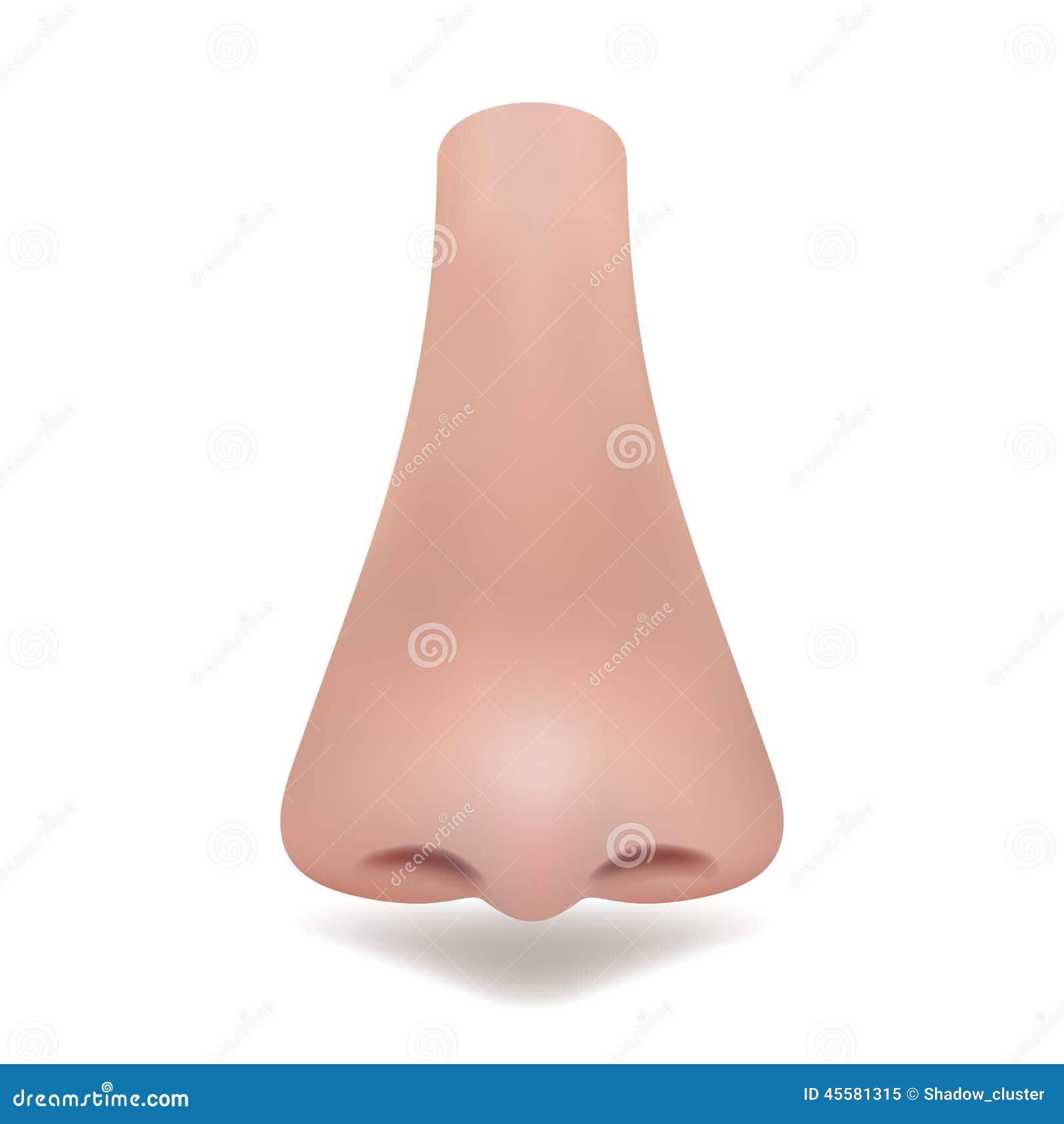 Vector Nose Cartoon Set For Character Animation | CartoonDealer.com ...