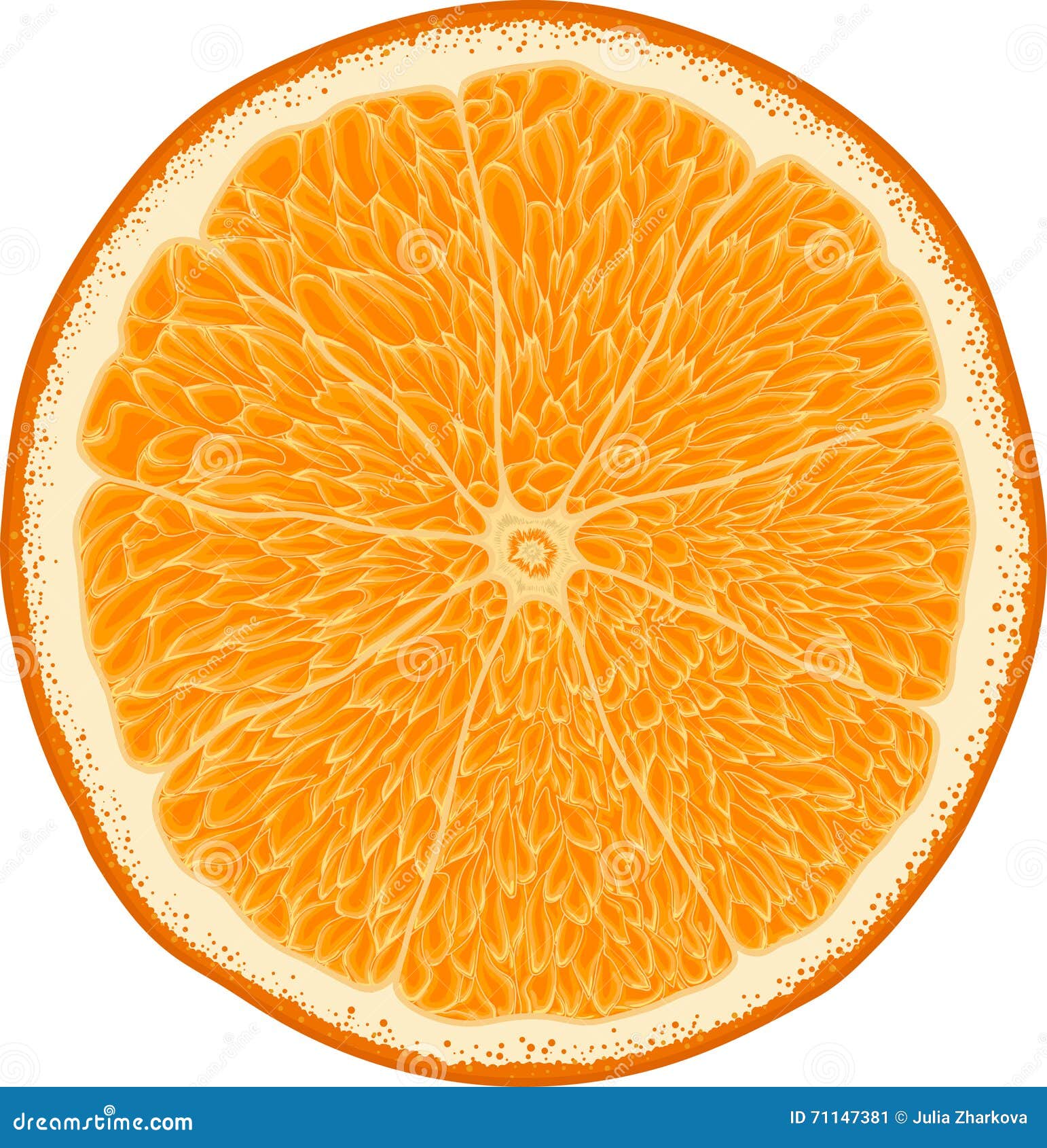 Realistic vector orange stock vector. Illustration of slice - 71147381