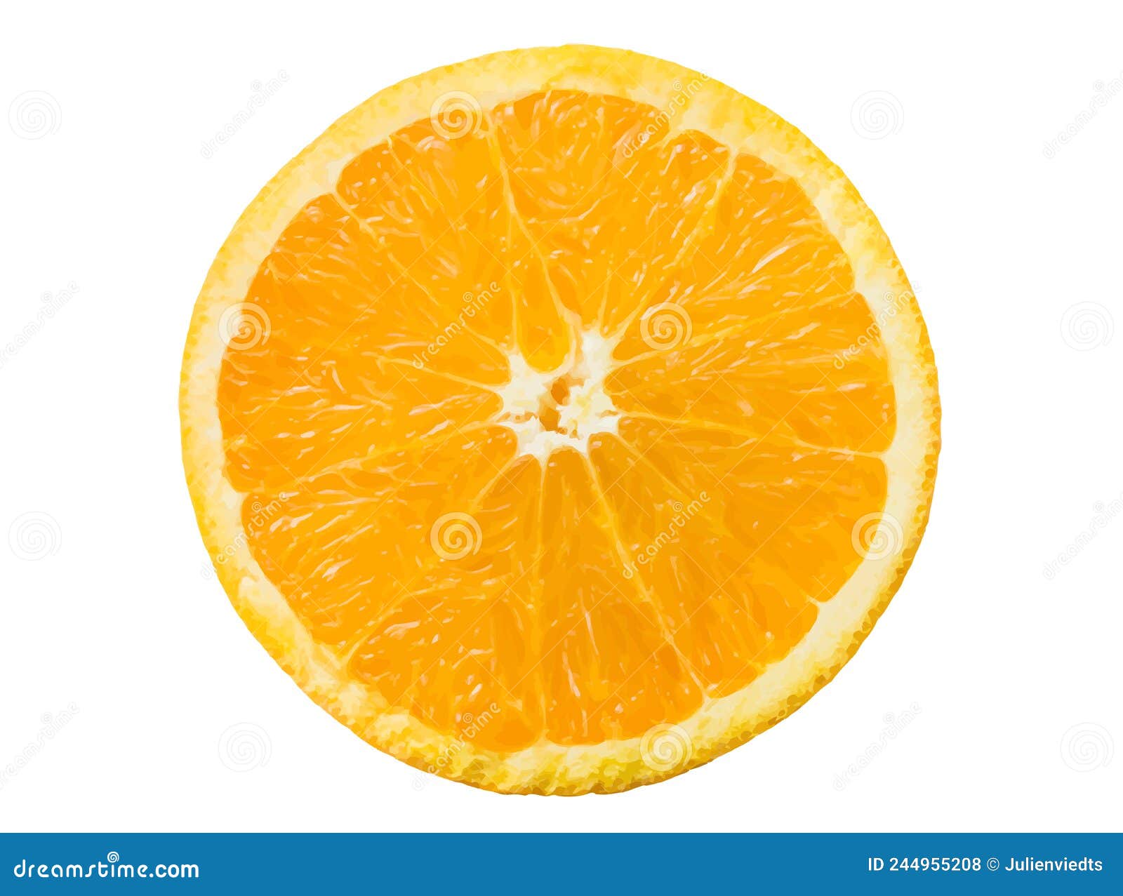 Realistic Vector of Orange Slice Isolated on White Background Stock ...