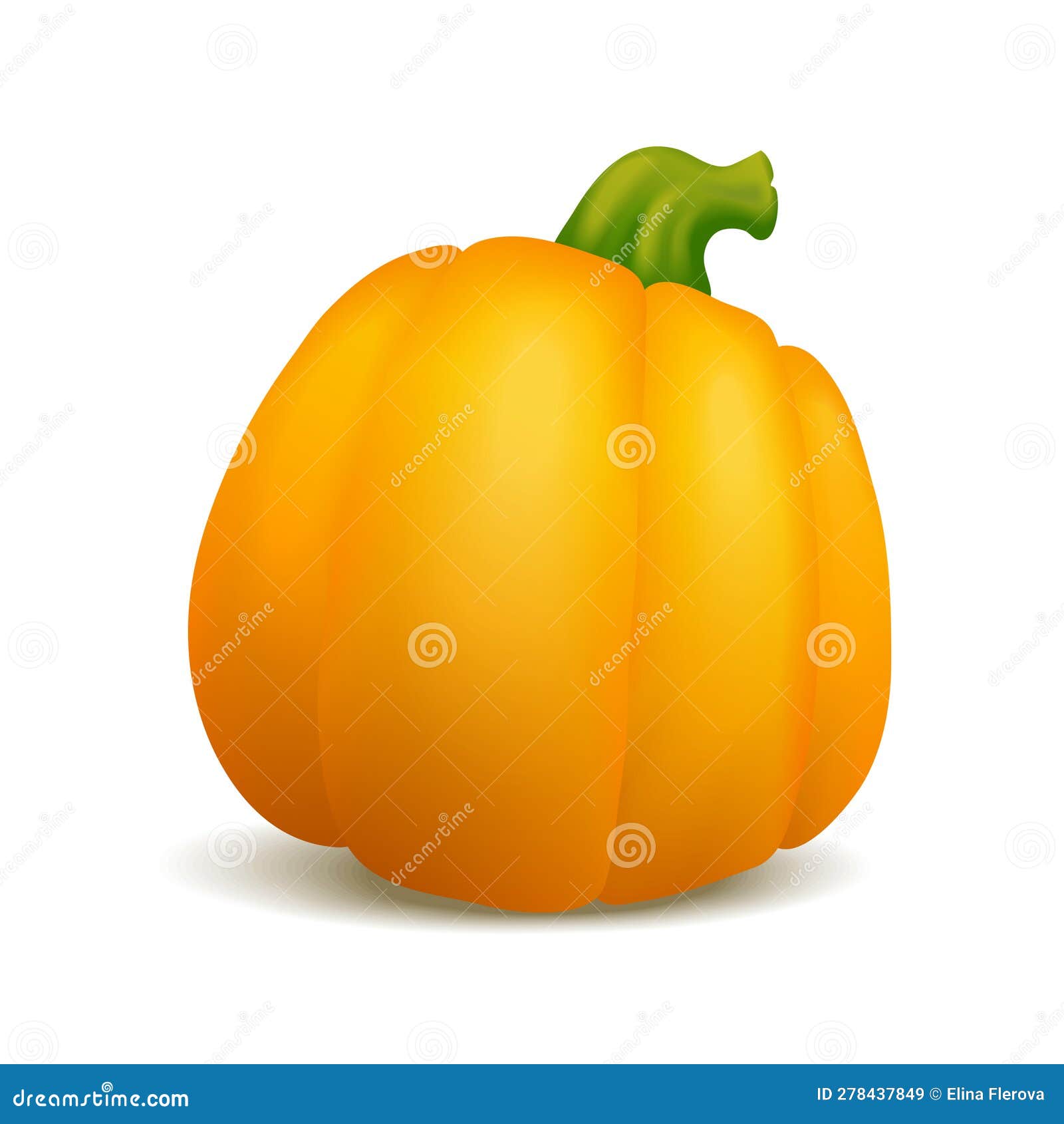 Realistic Vector Pumpkin Isolated on White Background Stock Vector ...