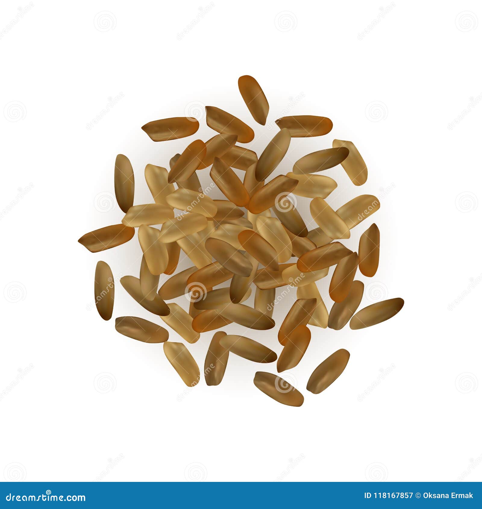 Realistic Vector Rice Isolated Stock Vector - Illustration of life ...