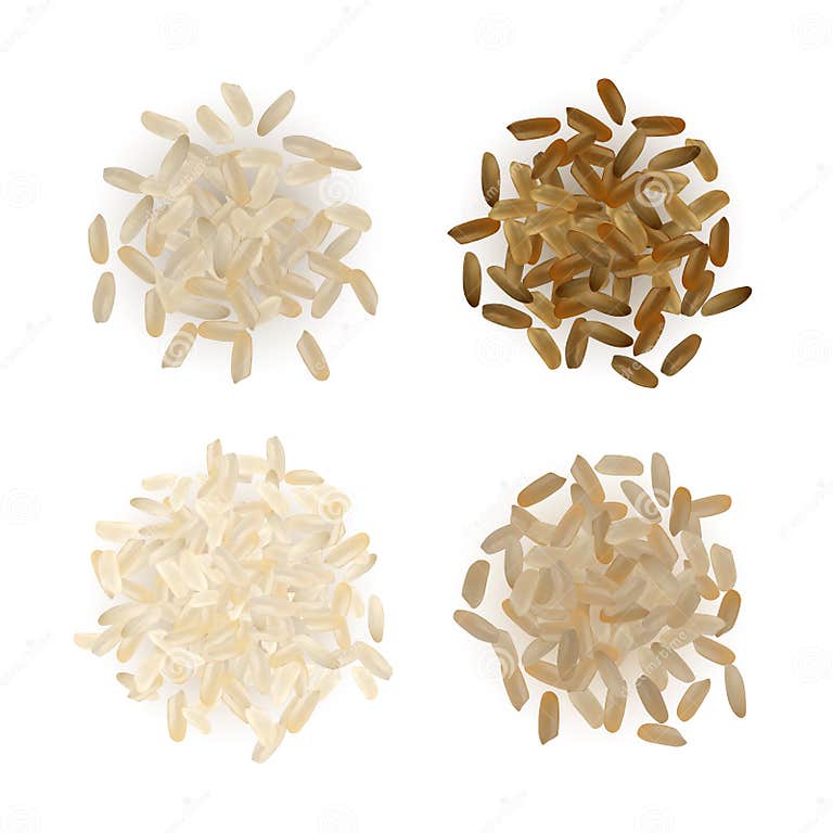 Realistic Vector Rice Isolated Stock Vector - Illustration of food ...