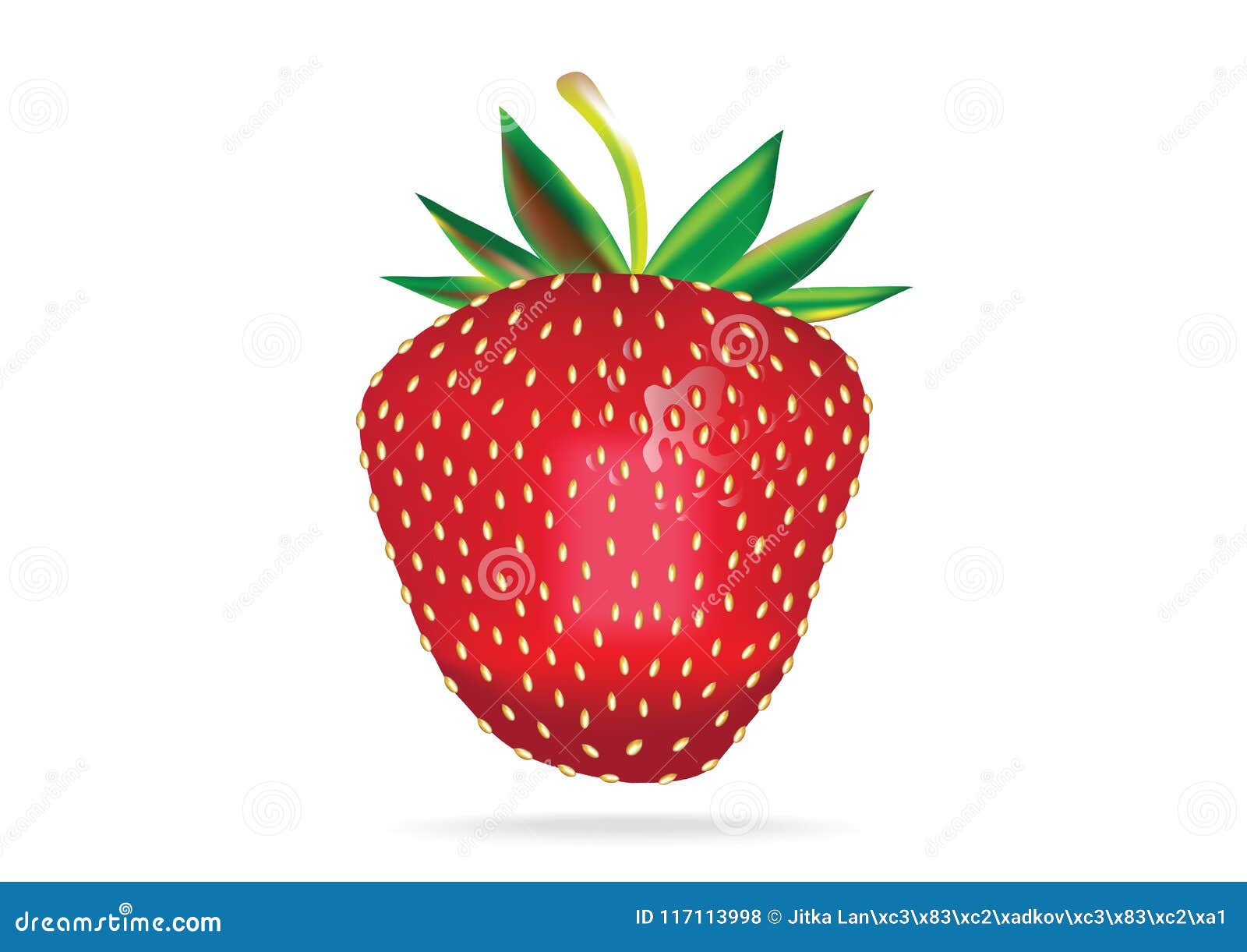 Realistic Vector Strawberry Illustration. Red Strawberry Isolated on ...