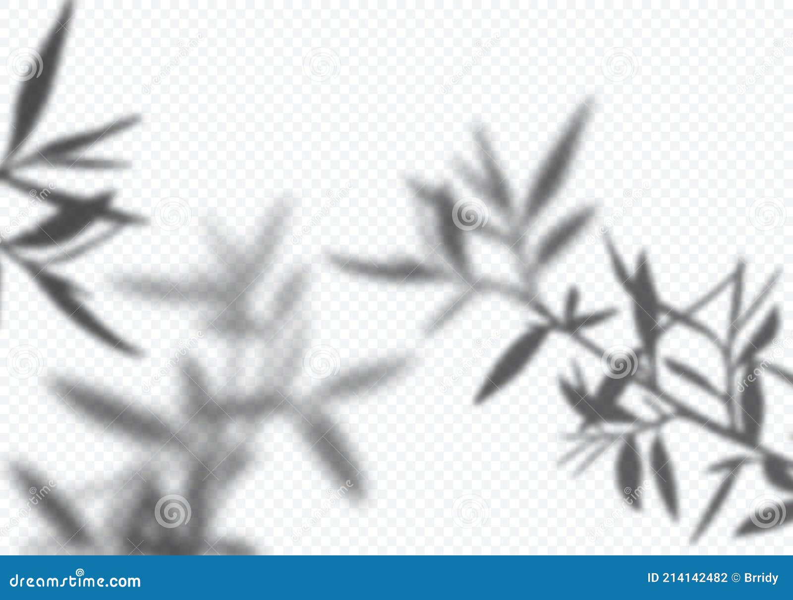 Realistic Vector Transparent Shadow of Tree Leaves. Decorative Design ...