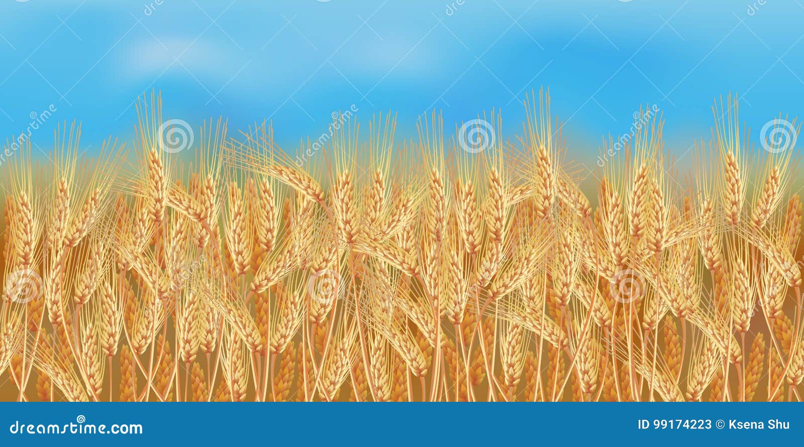 Horizontal Seamless Wheat Field with the Blue Sky Stock Vector ...