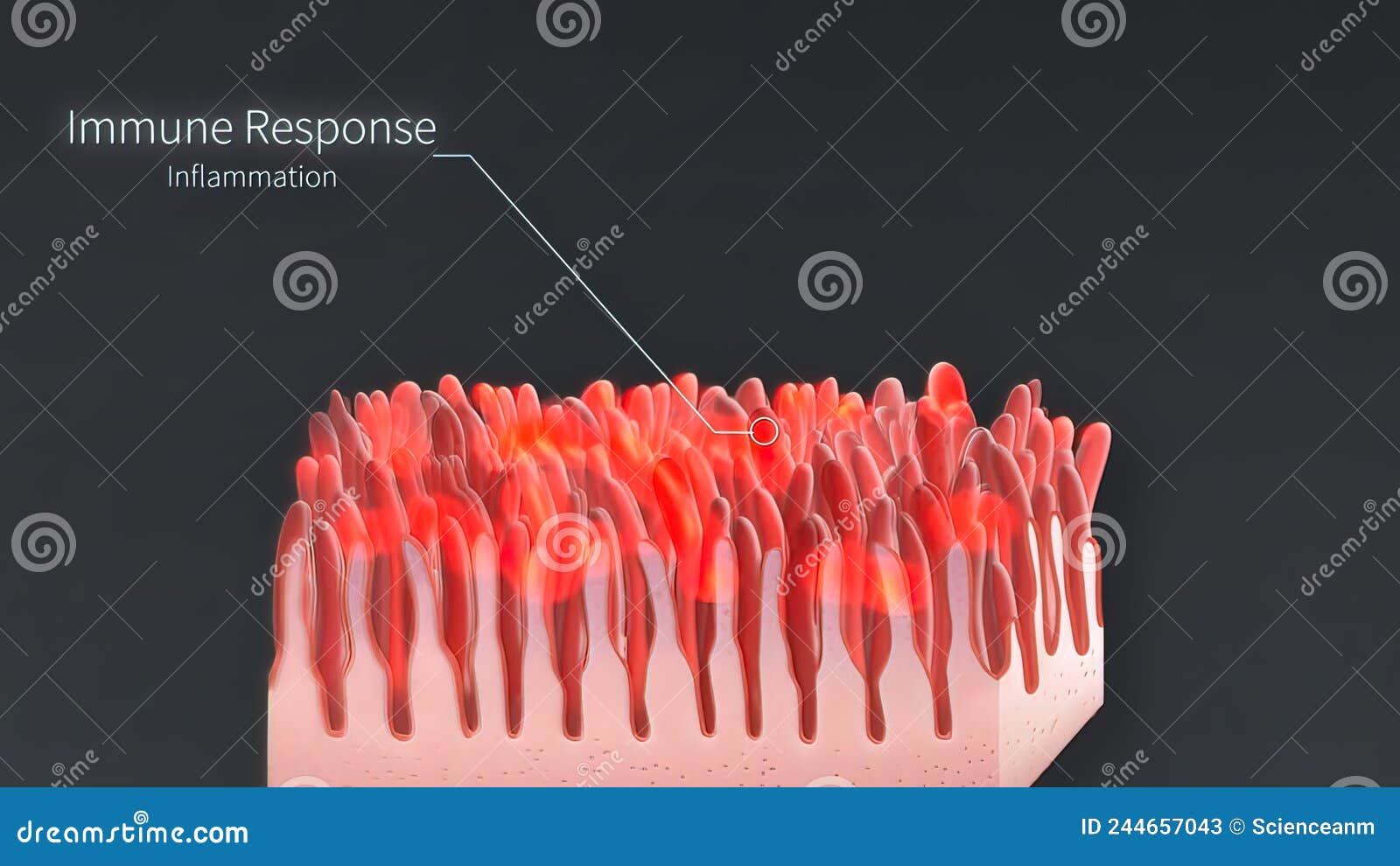 Realistic Villi Inside the Intestines Under the Microscope Stock ...