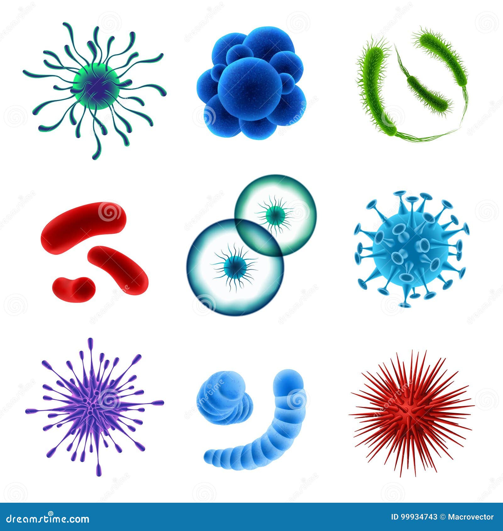 Realistic Viruses Set stock vector. Illustration of germ - 99934743