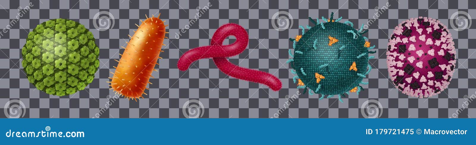 Realistic Viruses Transparent Set Stock Vector - Illustration of inside ...