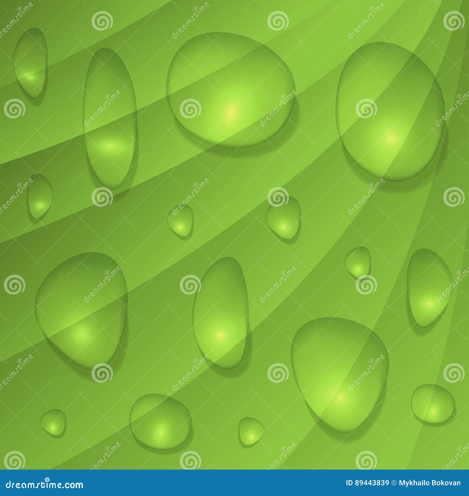 Realistic water drops stock vector. Illustration of gren - 89443839