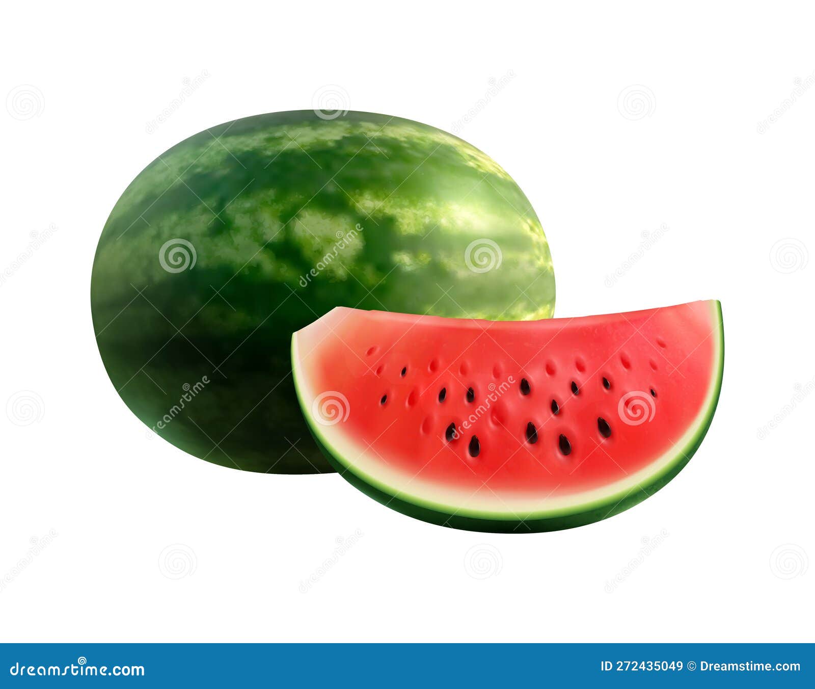 Realistic Watermelon Illustration Stock Vector - Illustration of ...
