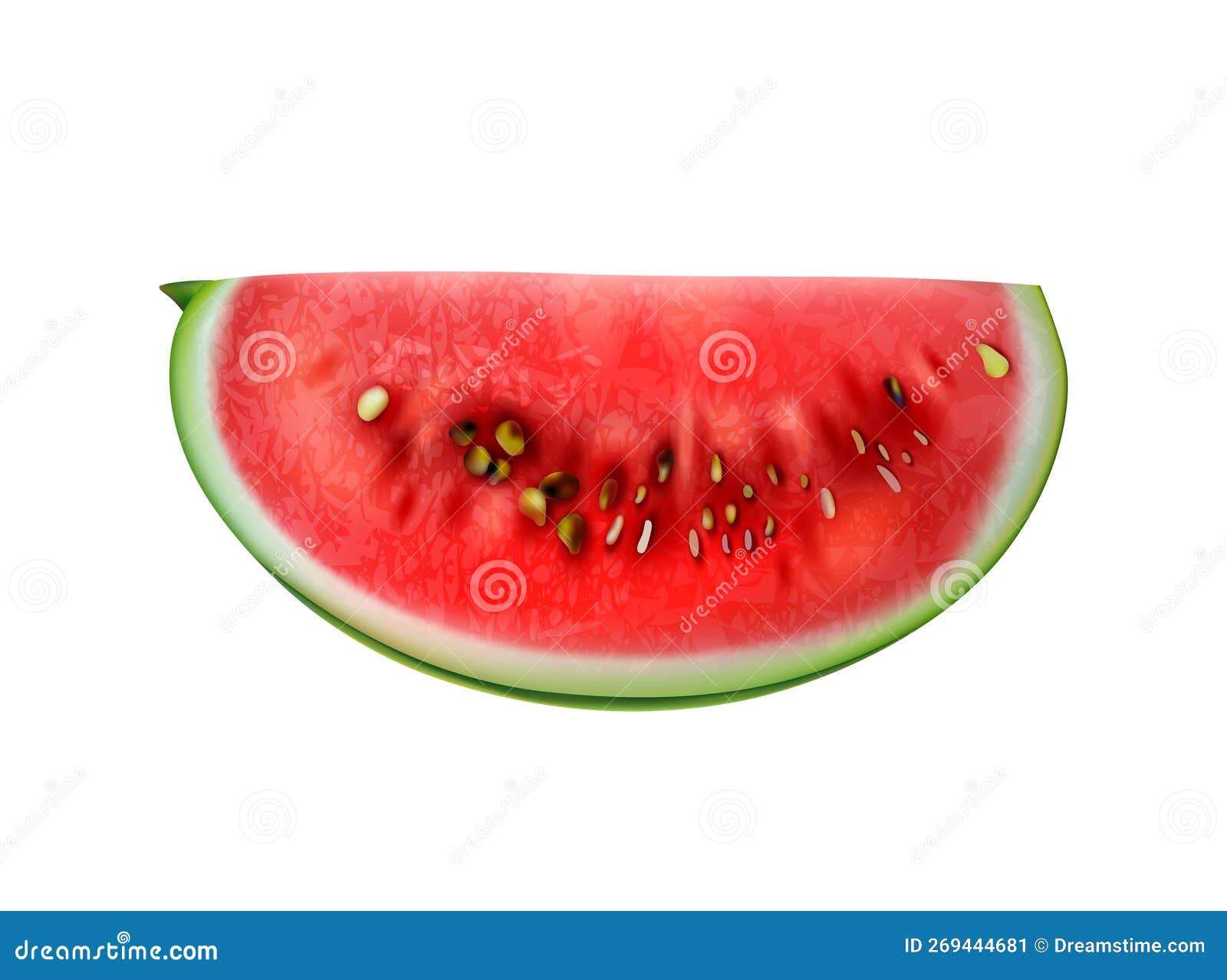 Realistic Watermelon Slice Composition Stock Vector - Illustration of ...