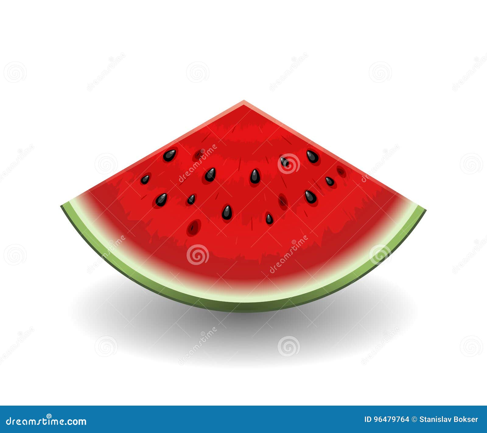 Realistic Watermelon Vector Illustration Isolated On White Background ...