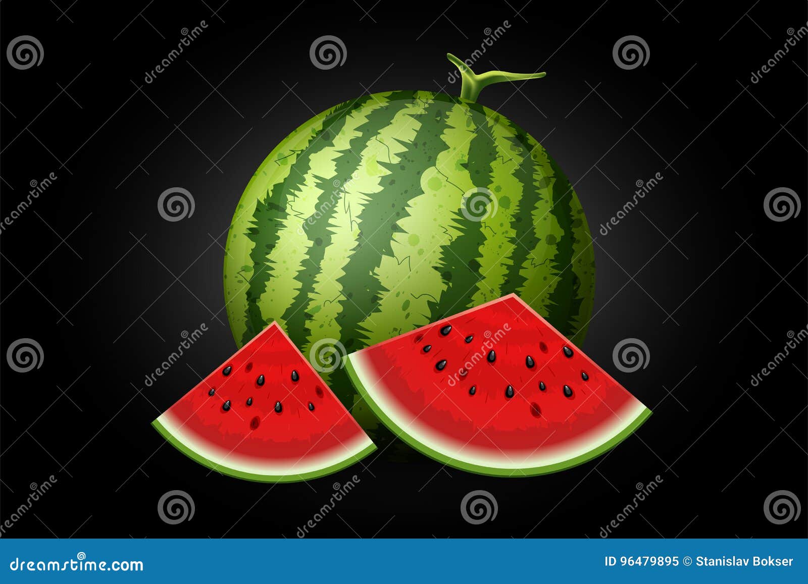 Realistic Watermelon with Slices Isolated on Black Stock Vector ...