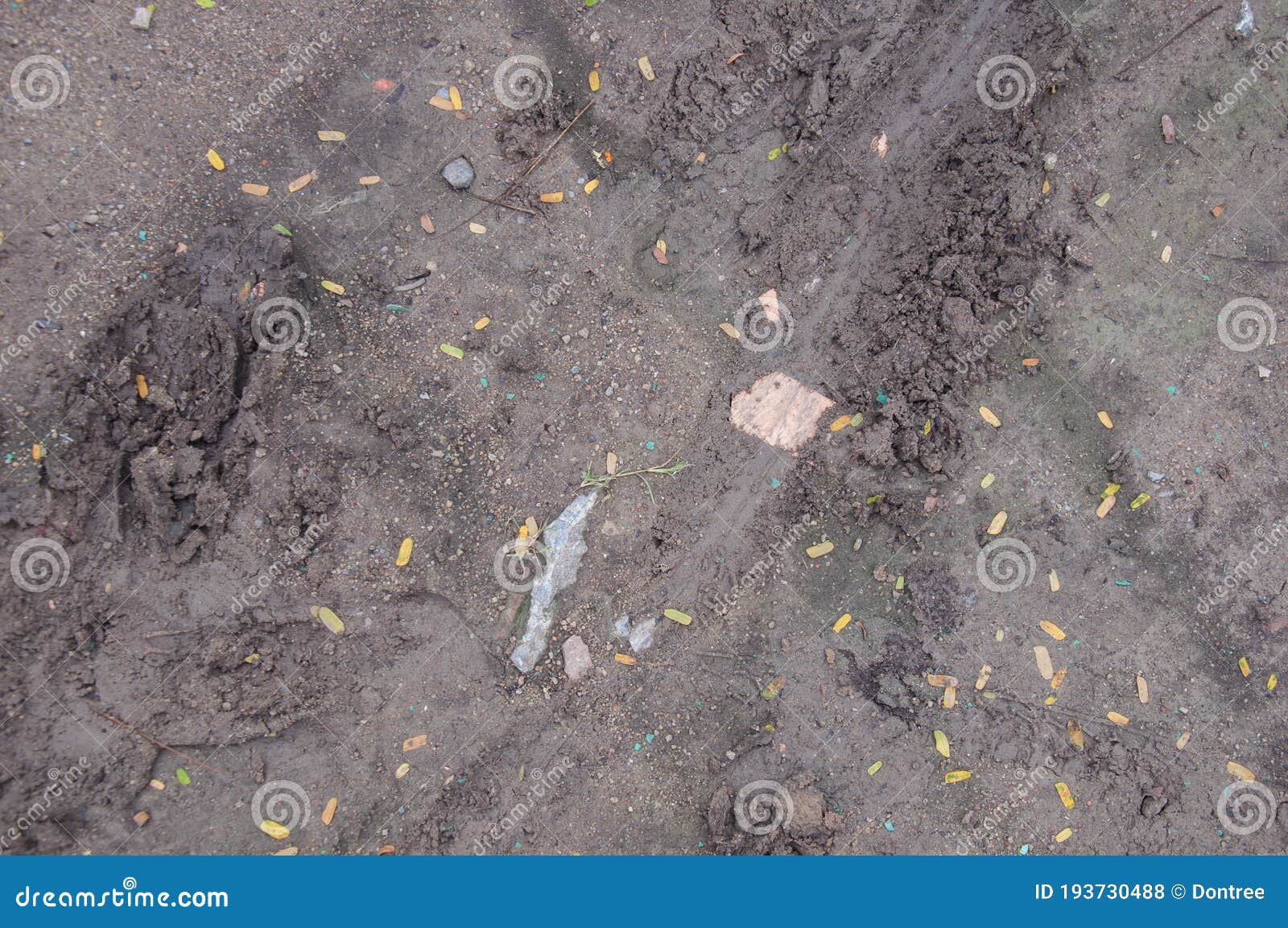 Realistic Wet Soil after Raining. Top View Stock Photo - Image of close ...