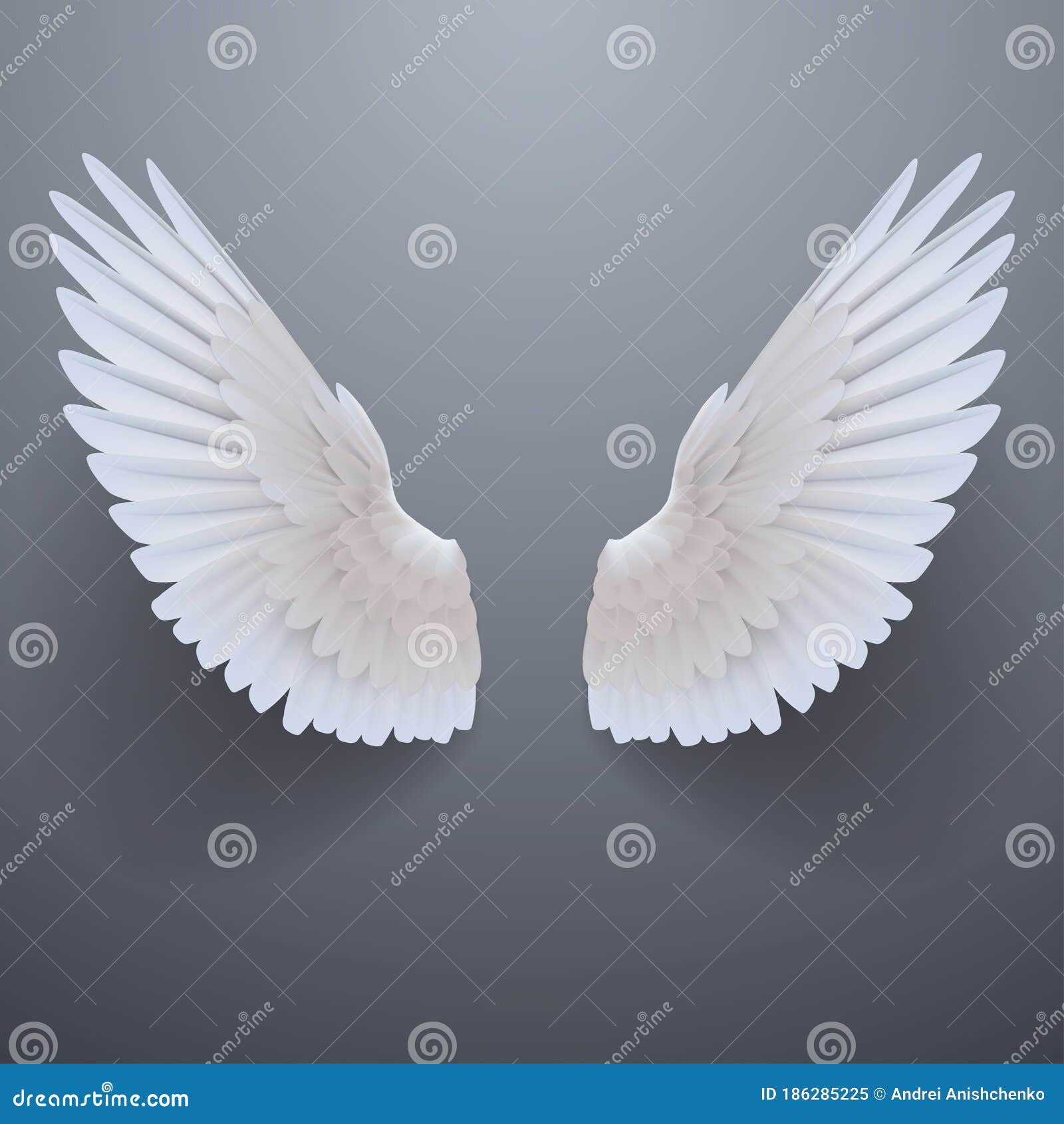Realistic White Wings with Shadow Stock Vector - Illustration of ...