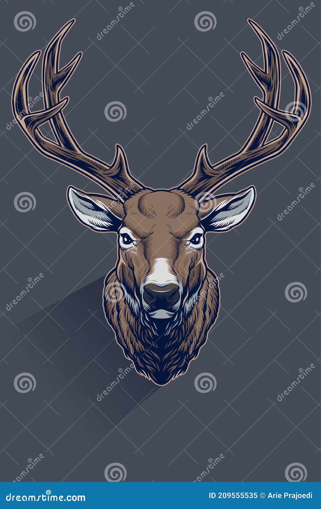 Realistic Whitetail Deer Head Stock Illustration - Illustration of head ...