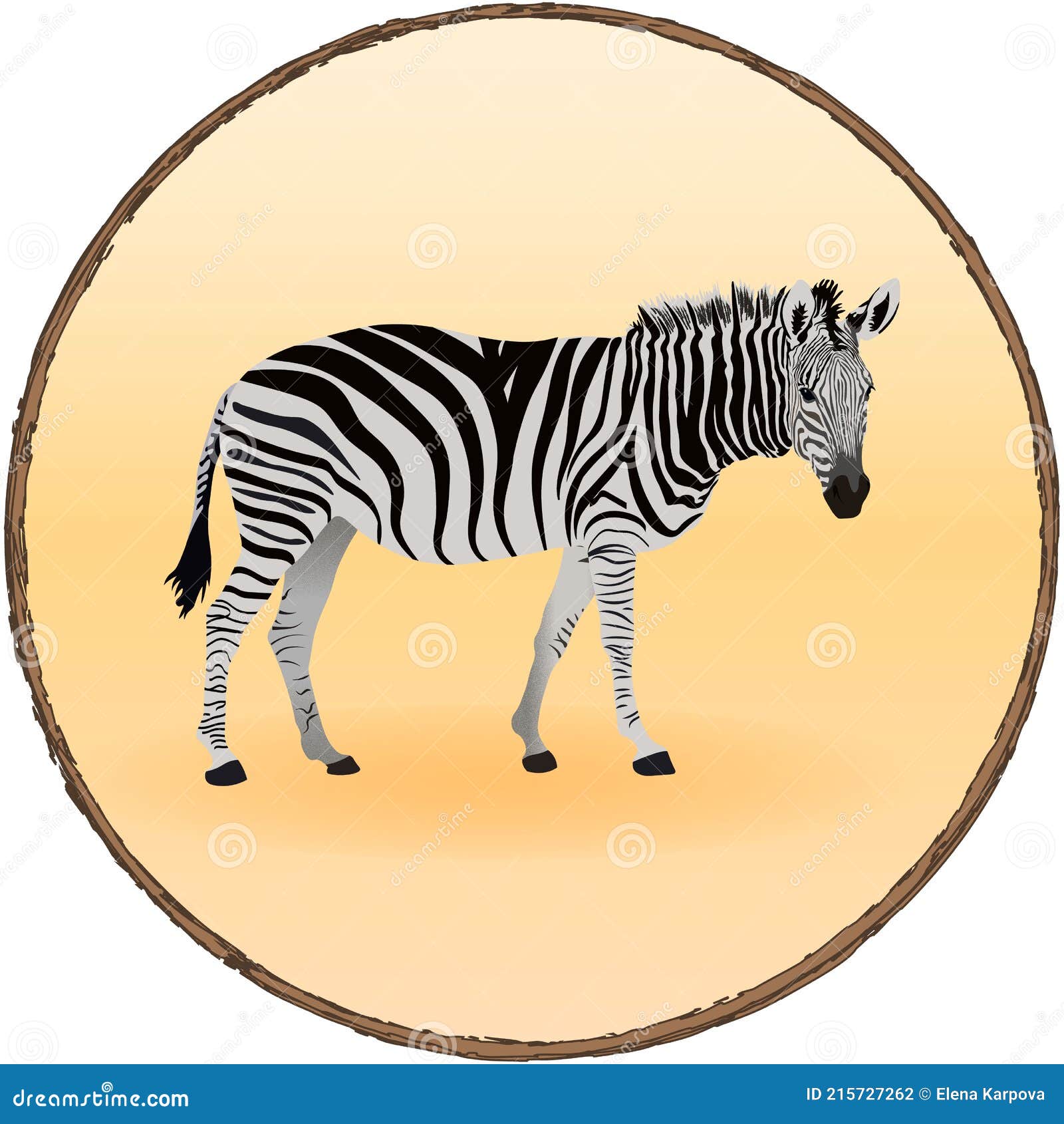 Realistic Zebra Laying In Field With Bold Colorism And Monochromatic ...