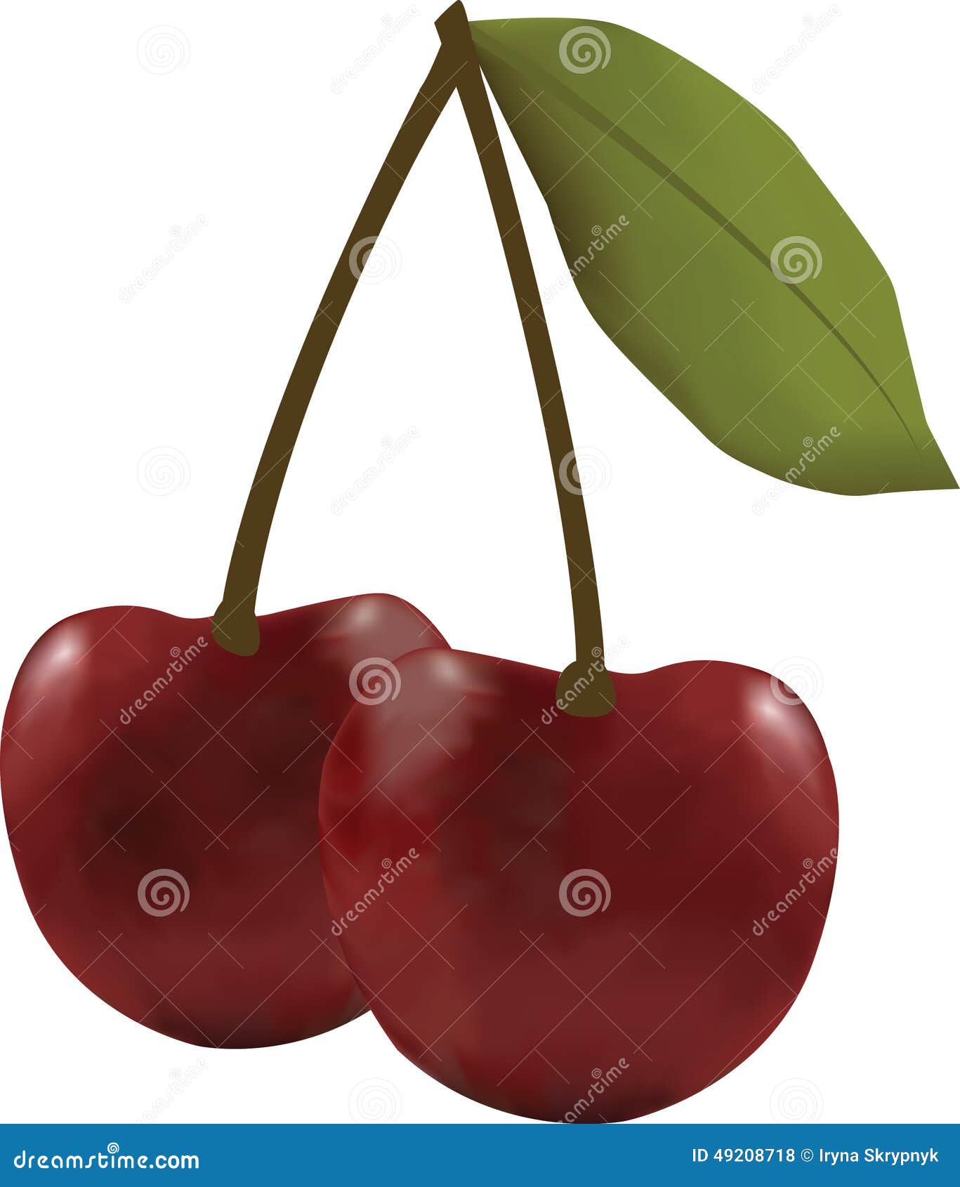 Realistisch Beeld Van Kersen Vector Illustratie - Illustration of ...