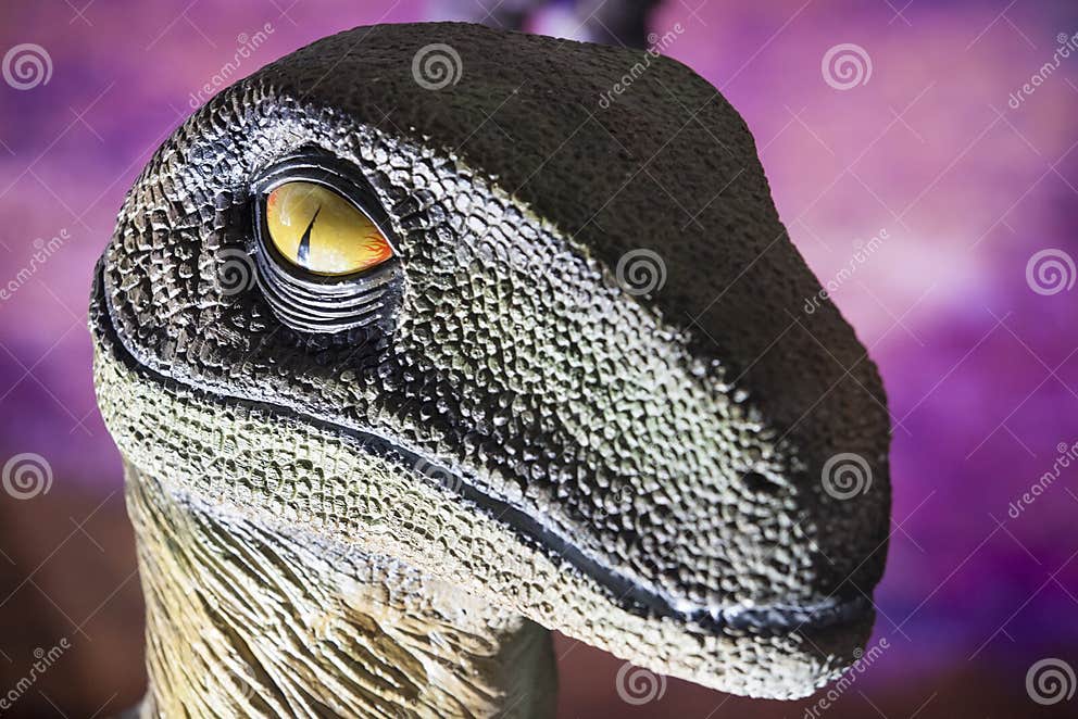 Realistisch Model Van Velociraptor-dinosaurus Redactionele Stock Foto ...