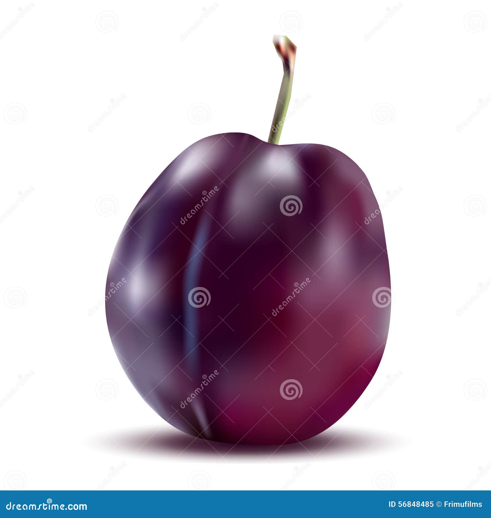 Realistische Pflaume vektor abbildung. Illustration von frucht - 56848485