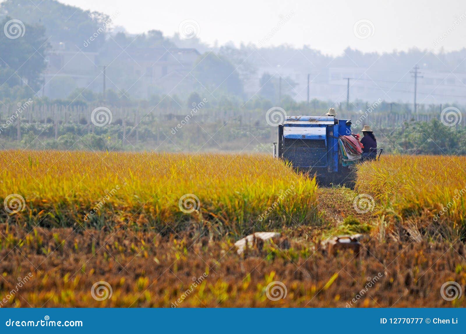 Reap stock image. Image of harvesters, autumn, chinese - 12770777