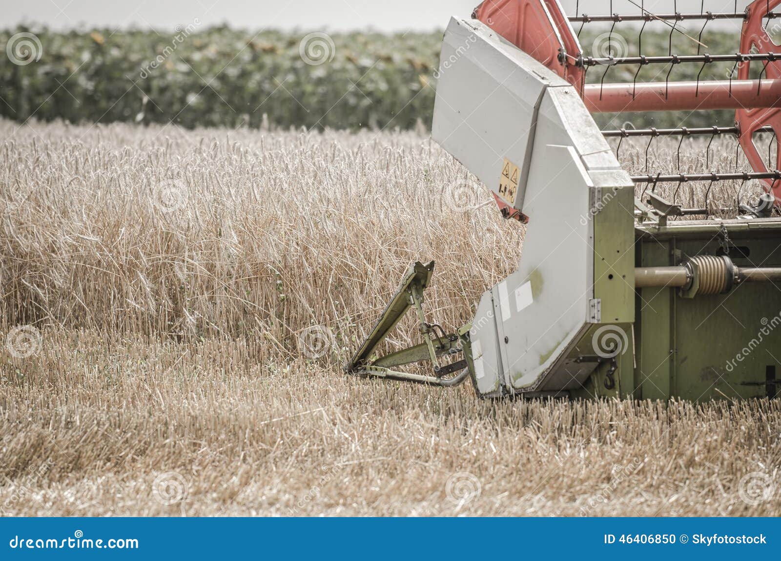 The Reaper Thresh the Wheat Stock Photo - Image of combine, agriculture ...