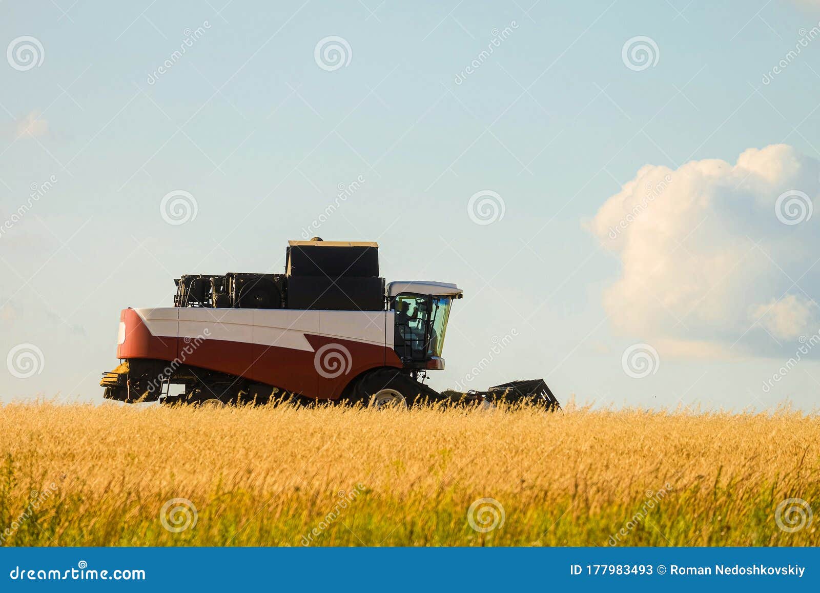 Reaping Machine. Combine Harvester in the Field during the Harvest ...