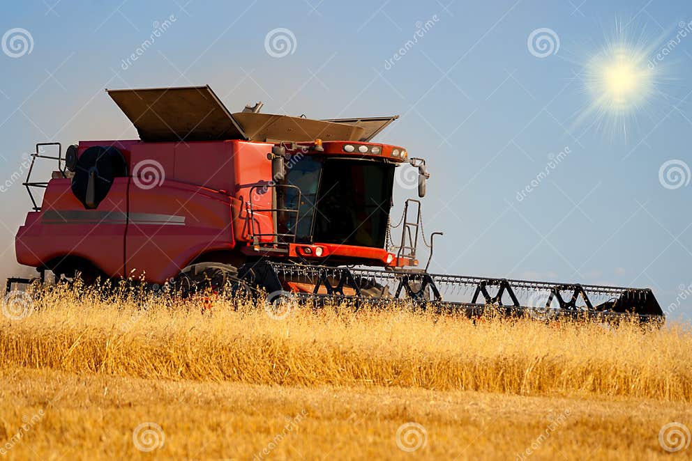 Reaping Machine or Harvester Combine Stock Image - Image of golden ...