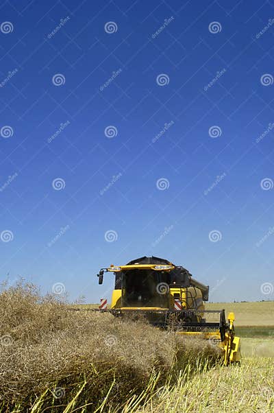 Reaping-machine Threshing-machine with Work Stock Photo - Image of ...