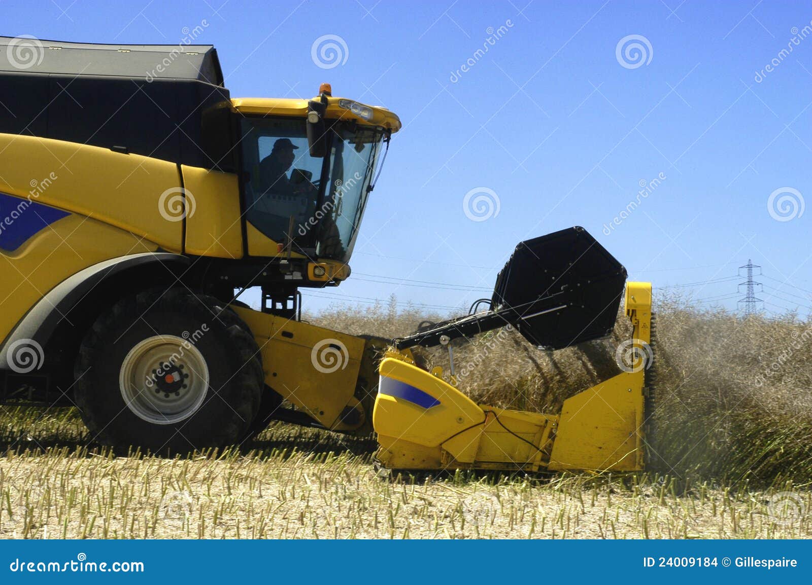 Reaping-machine Threshing-machine with Work Stock Photo - Image of ...