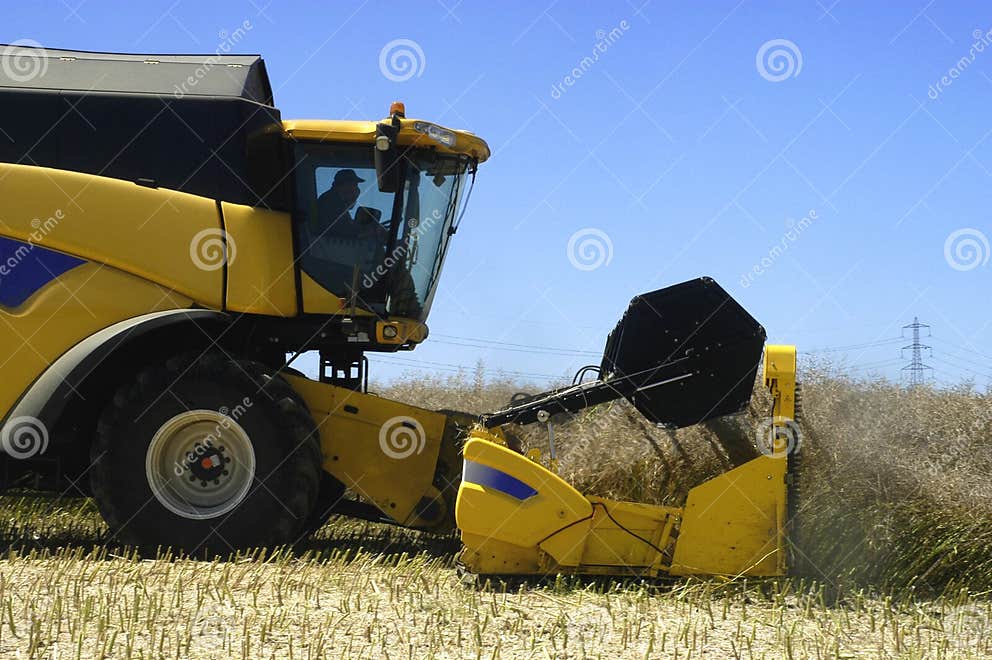 Reaping-machine Threshing-machine with Work Stock Photo - Image of ...
