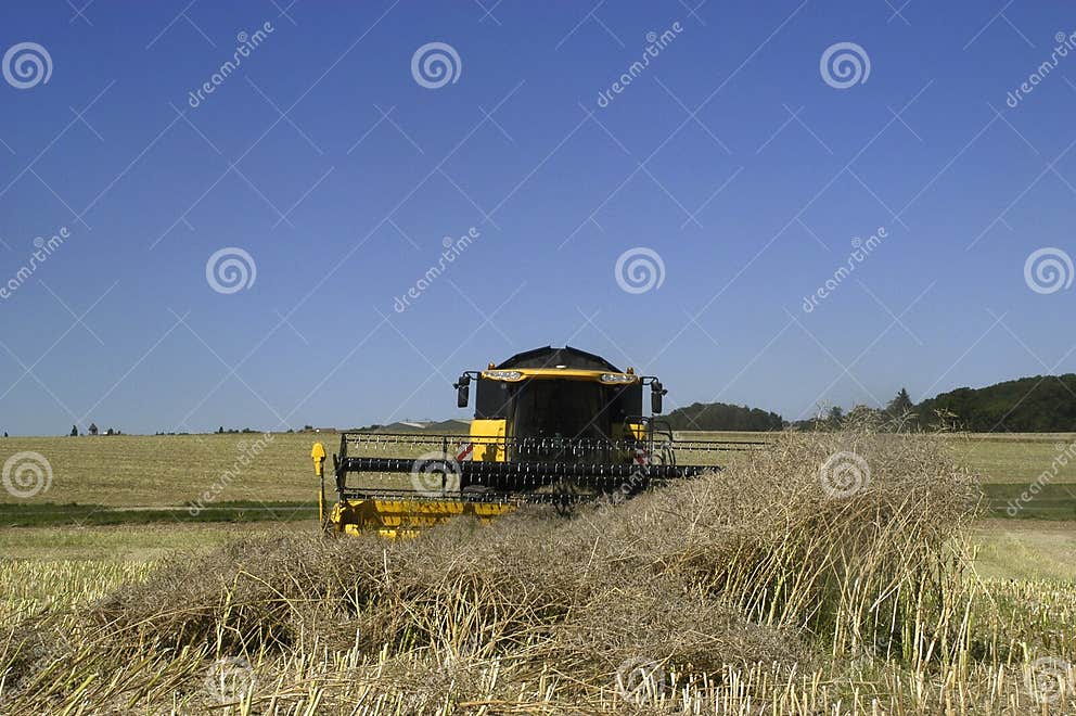 Reaping-machine Threshing-machine with Work Stock Photo - Image of ...