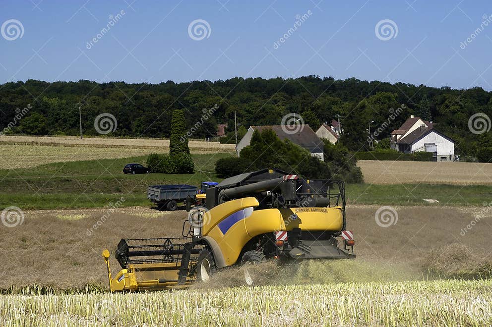 Reaping-machine Threshing-machine with Work Stock Image - Image of ...