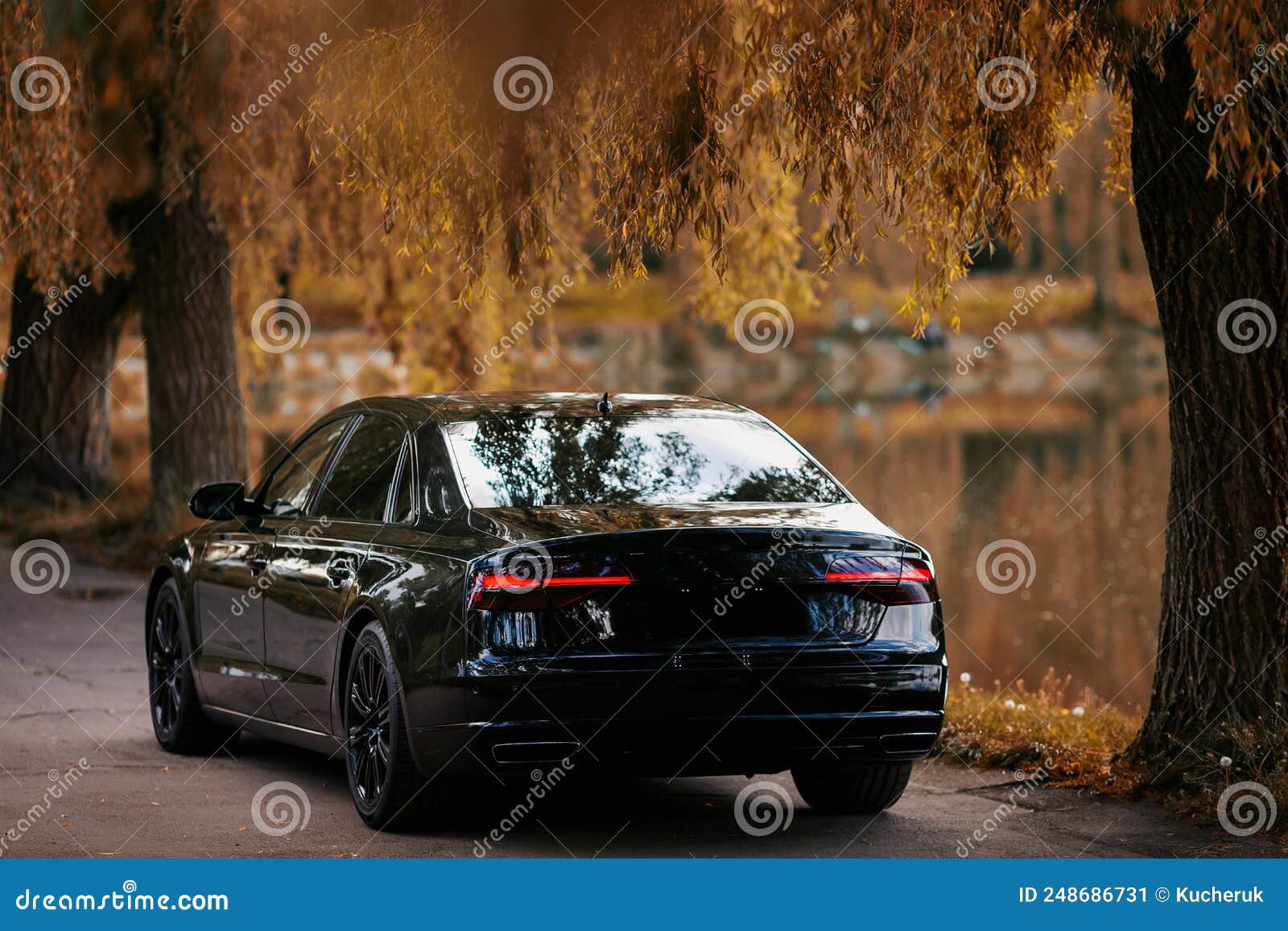 Rear of Audi A8 D4 Long. Luxury Black Modern Car. Executive Class Auto ...