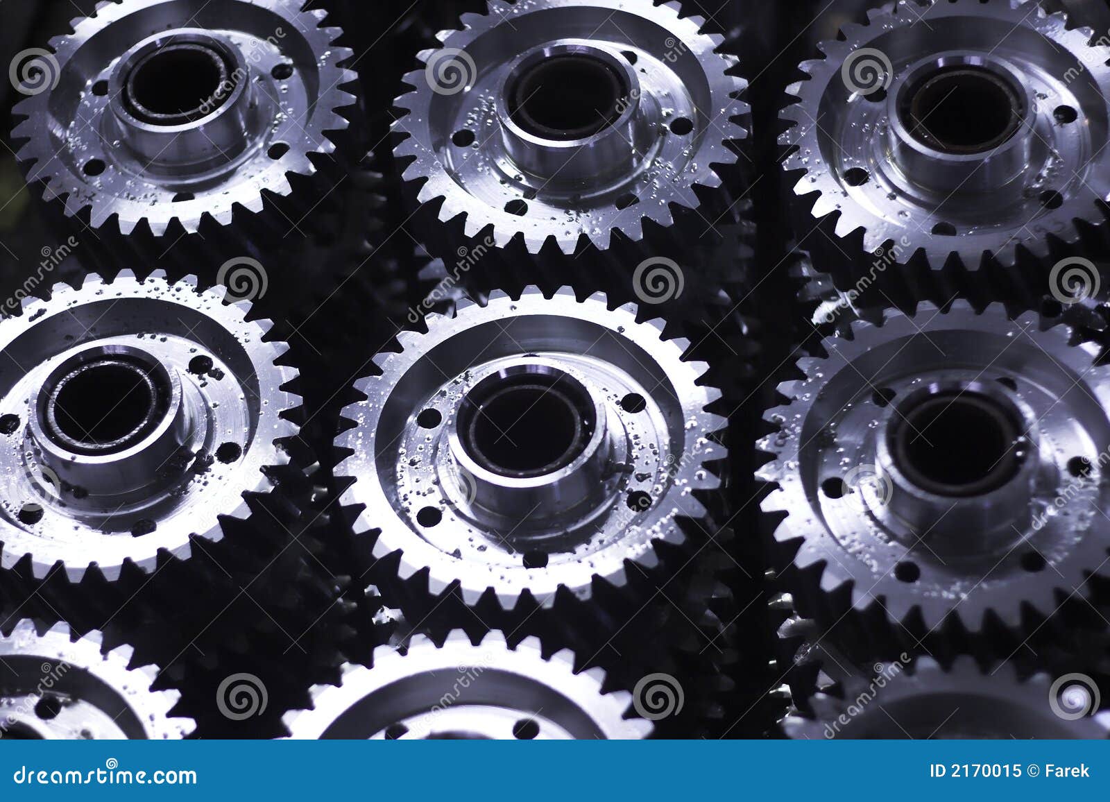 Symmetrical Rear View Of Cessna 172 Skyhawk 2 Airplane On A Runway With ...